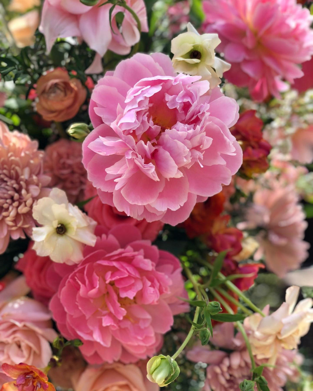 Encinitas Florist | Flower Delivery by Flower Frenzy on 101